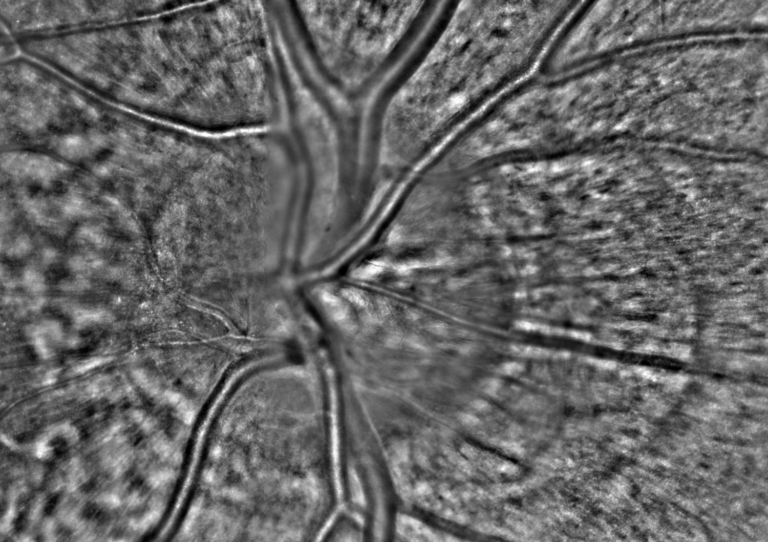 Conférence et démonstration publiques: imagerie par optique adaptative ...