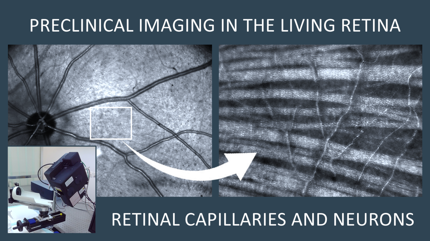 Preclinical retinal imaging system installed in Hong Kong • Imagine Eyes