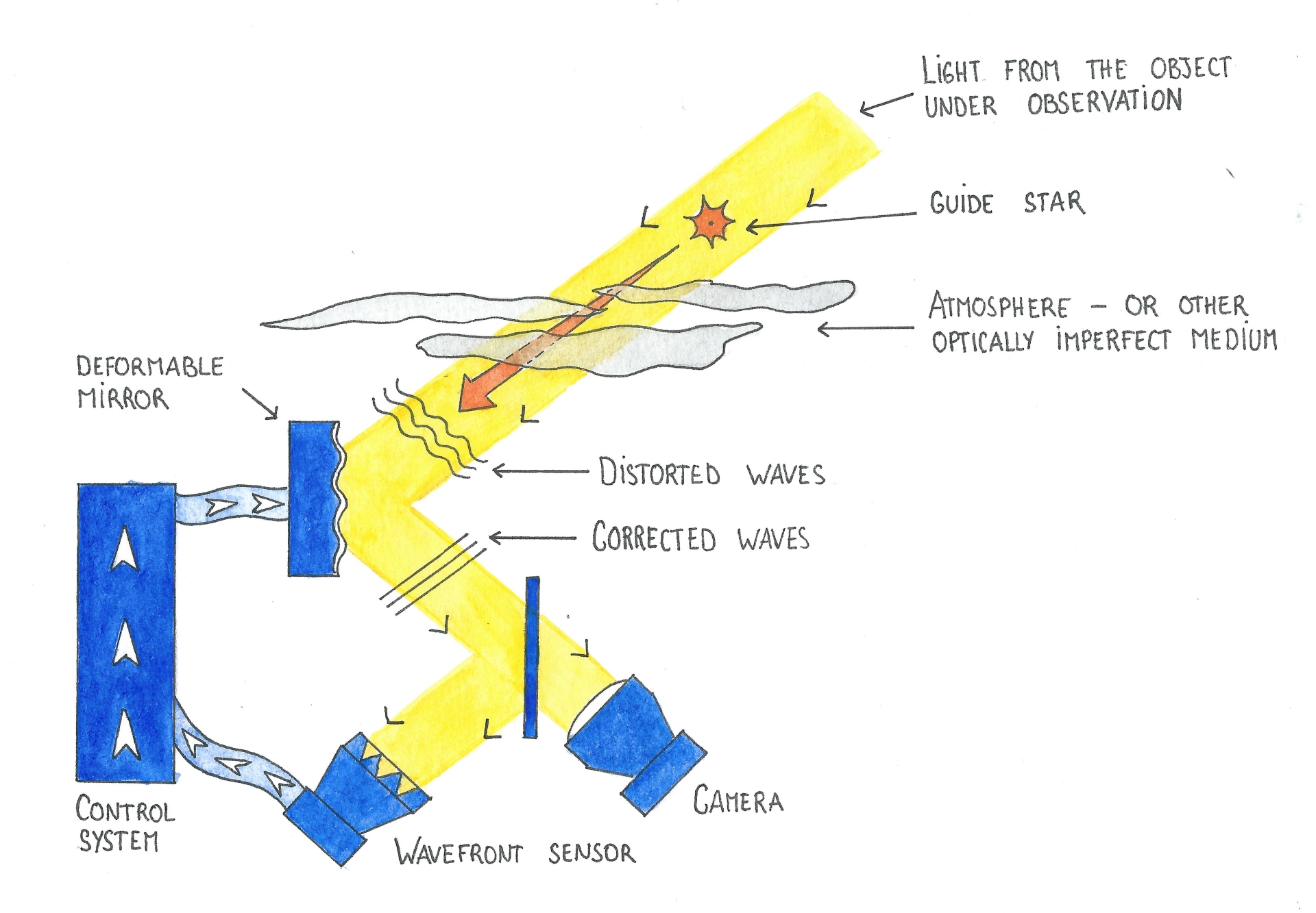 Adaptive optics retinal imaging • Technology • Imagine Eyes