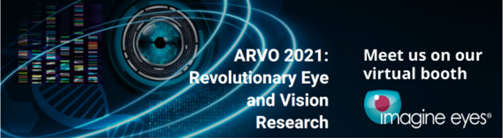 ARVO 2021: Phenotyping at the cellular level in the retina • Imagine Eyes
