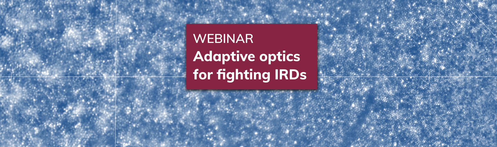 Webinar: AO for fighting IRDs • Imagine Eyes
